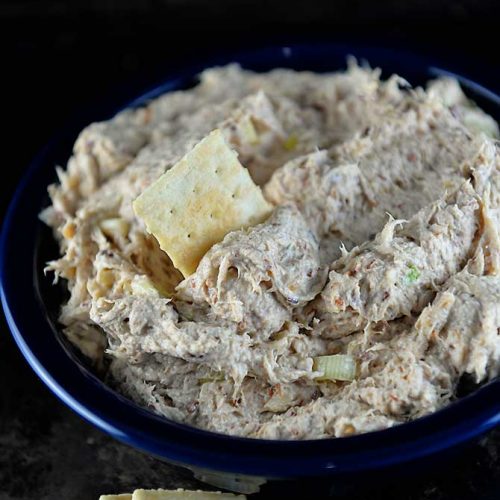 The Best Chicken Dip Recipe - Add a Pinch