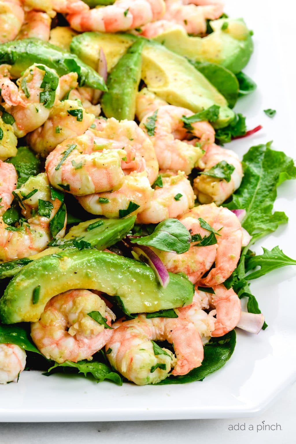 Citrus Shrimp Avocado Salad Recipe - Add a Pinch