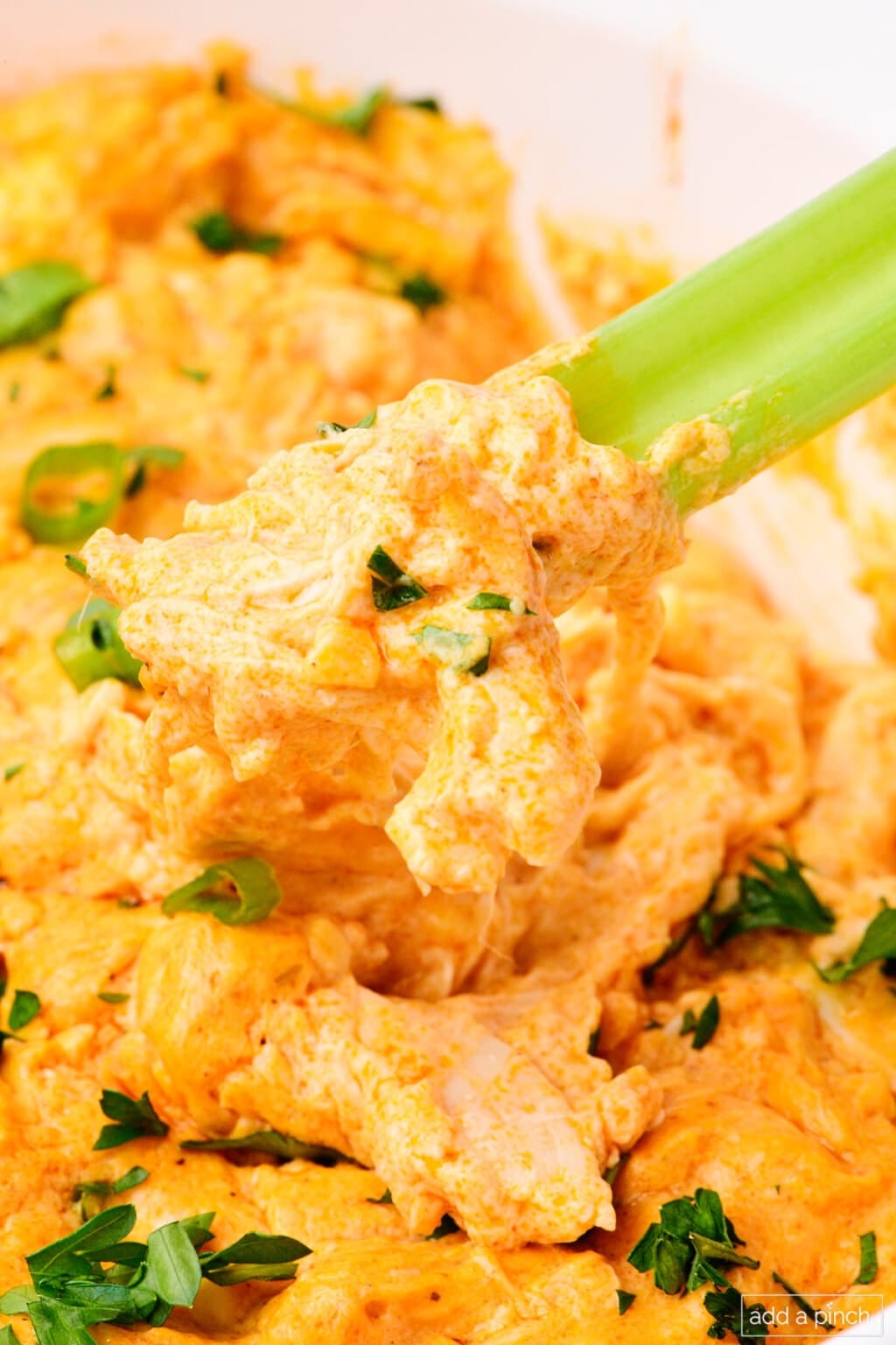 Buffalo Chicken Dip Recipe - Add a Pinch