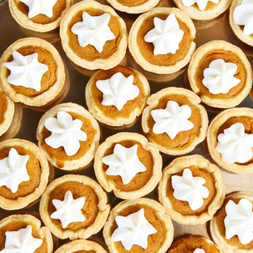 Mini Pumpkin Pies Recipe - Add a Pinch