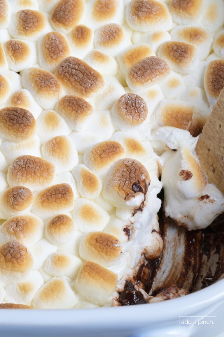 S'mores Dip Recipe - Add a Pinch
