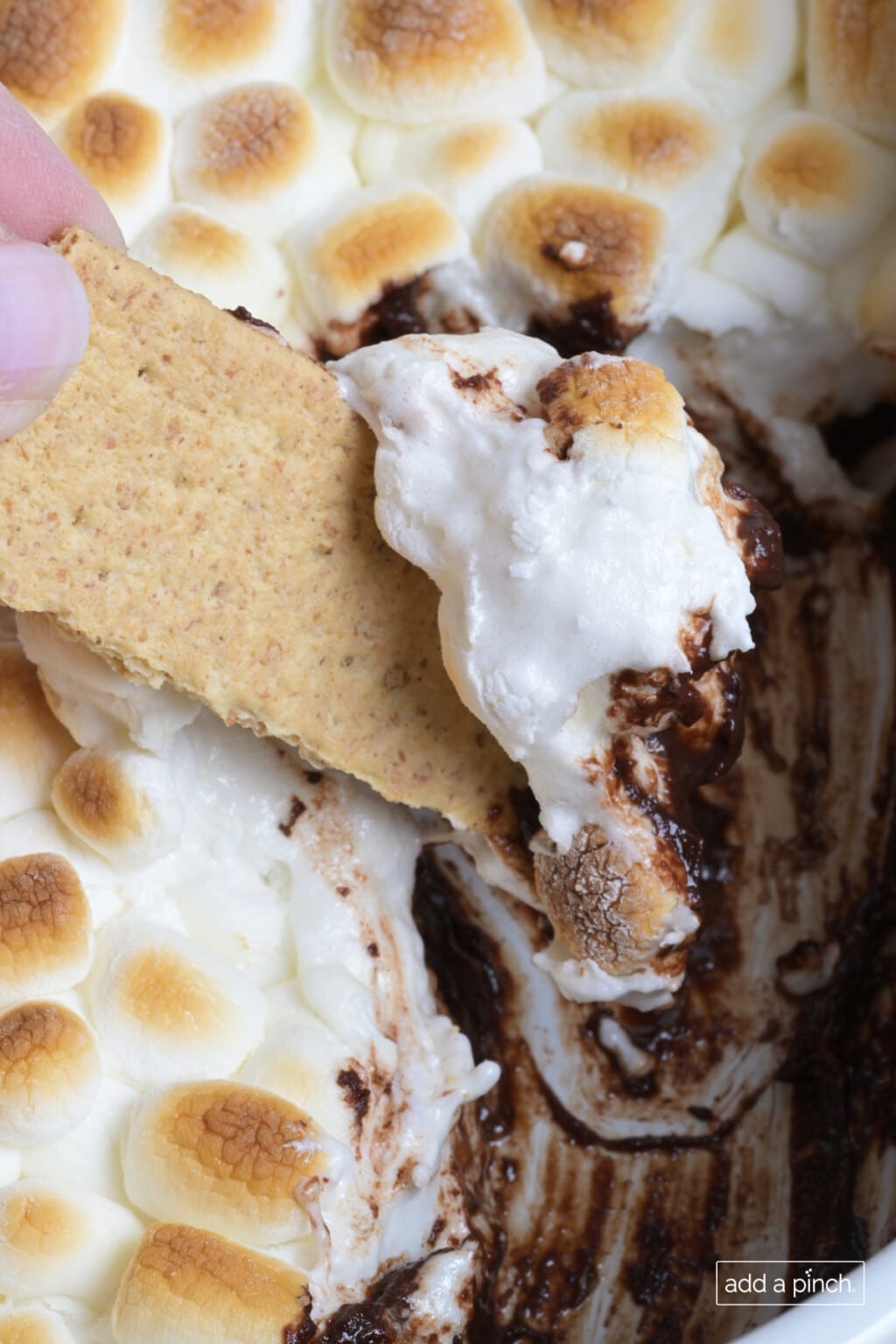 S'mores Dip Recipe - Add a Pinch